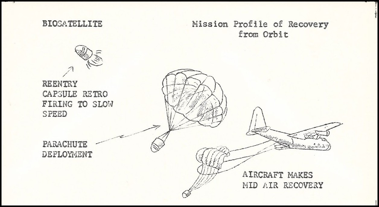 Biosatellite (Biosat) series